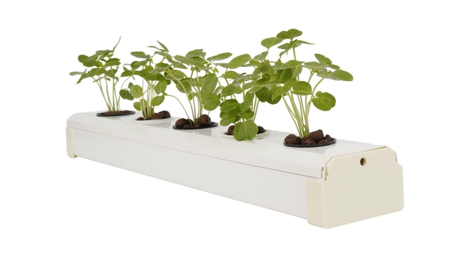 Home Hydroponic Kits